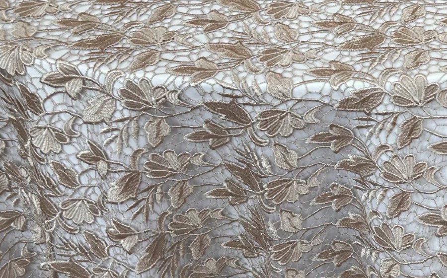 Champagne French Lace