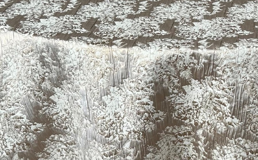 Champagne Pressed Foil