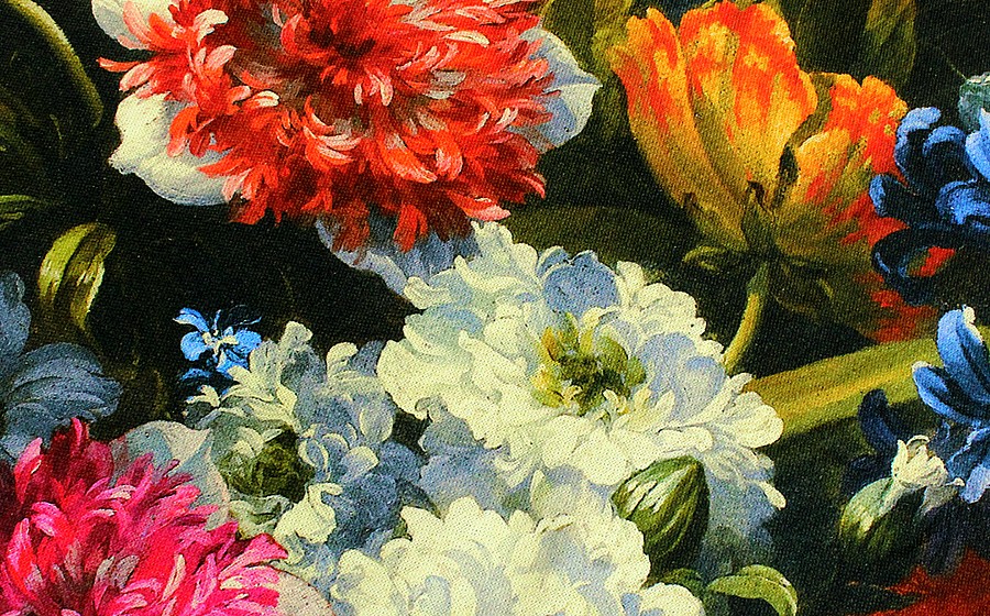 Cotton Dutch Masters