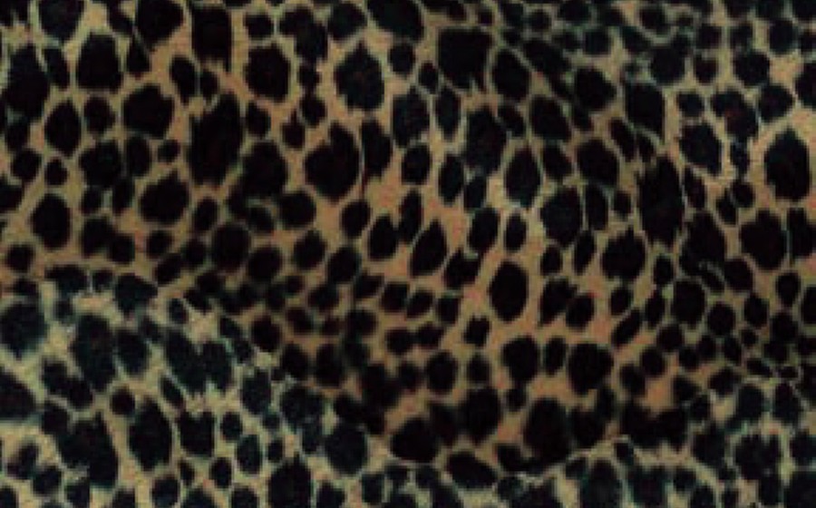 Ocelot Fur