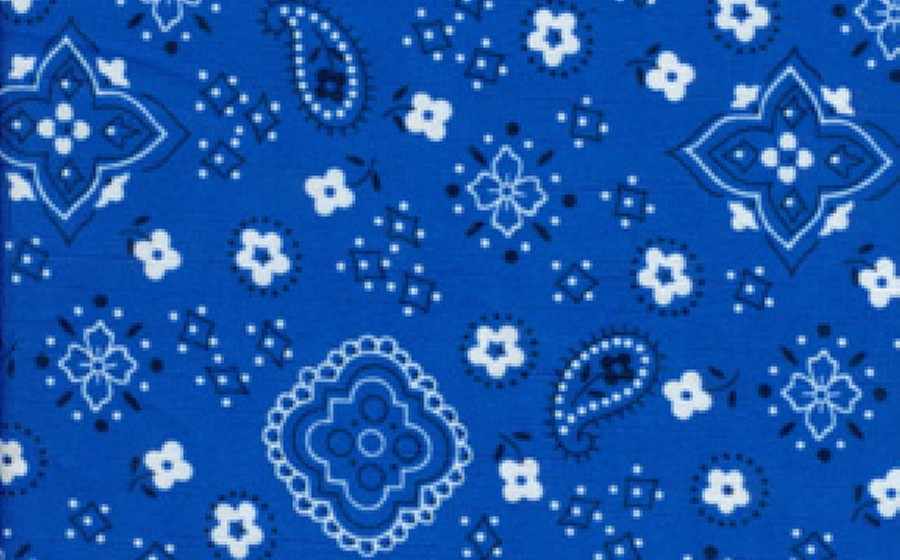 Blue Bandana